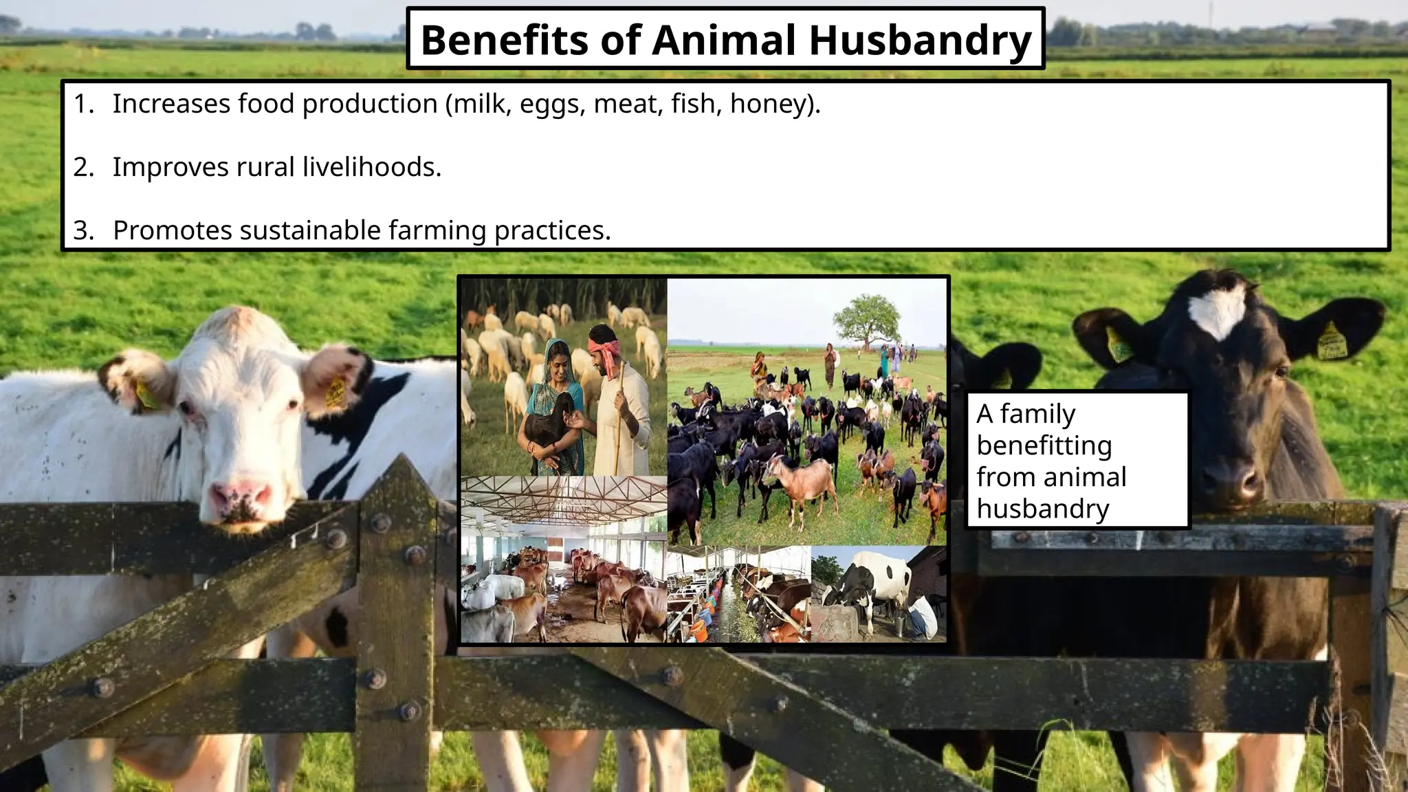 Animal Husbandry: A Colorful Insight on the Scientific management of ...