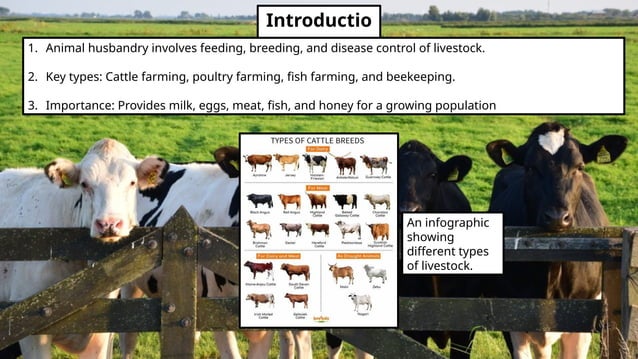 Animal Husbandry: A Colorful Insight on the Scientific management of ...