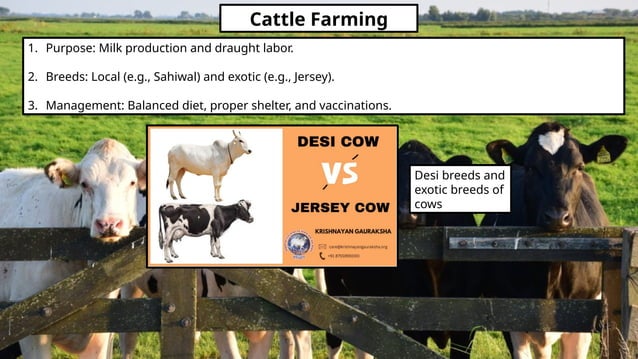 Animal Husbandry: A Colorful Insight on the Scientific management of ...