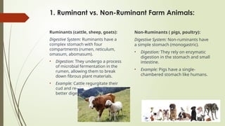 ANIMAL HUSBANDRY in Uganda and else where | PPT