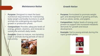 ANIMAL HUSBANDRY in Uganda and else where | PPT