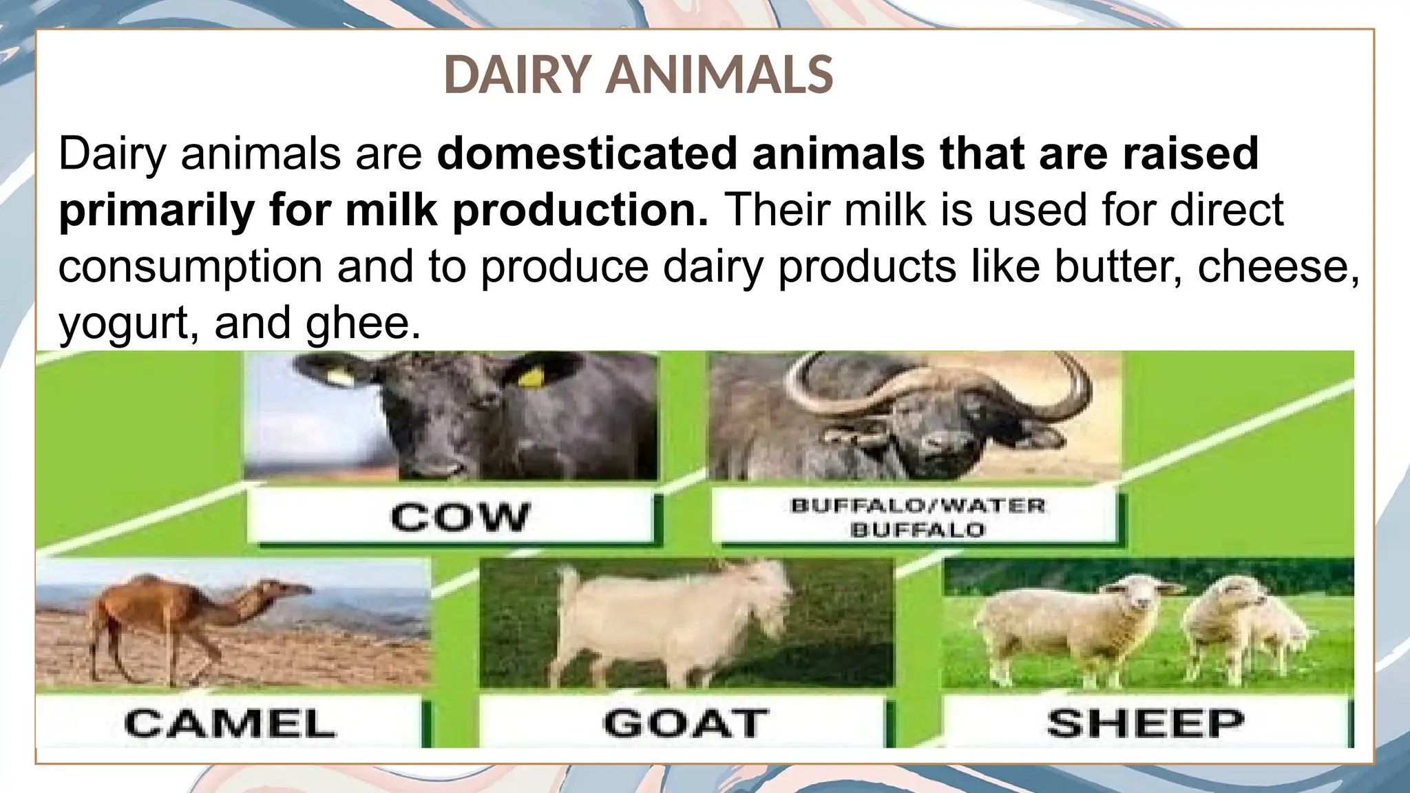 Animal husbandry: Purpose, scope and management,dairy animals, breeds ...
