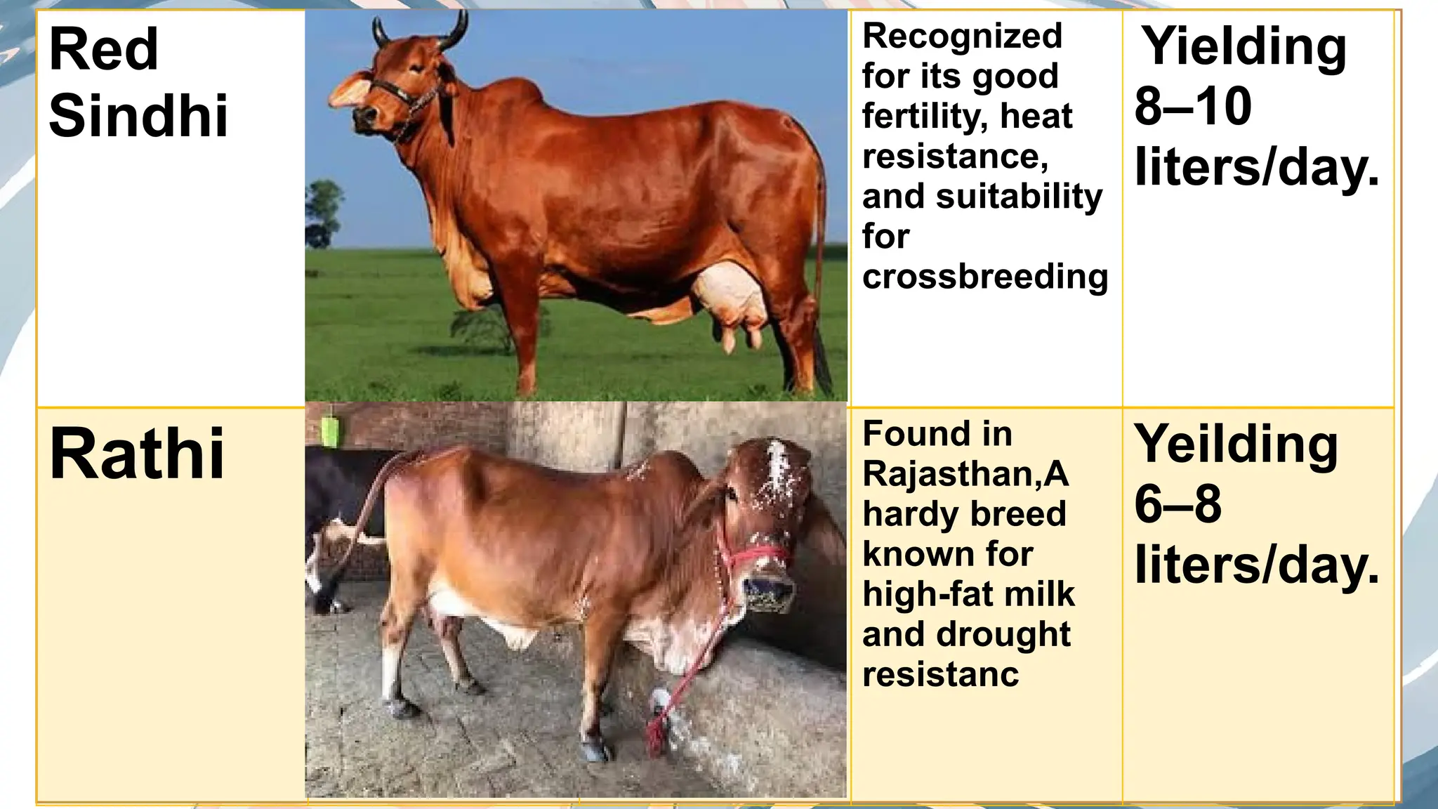 Animal husbandry: Purpose, scope and management,dairy animals, breeds ...