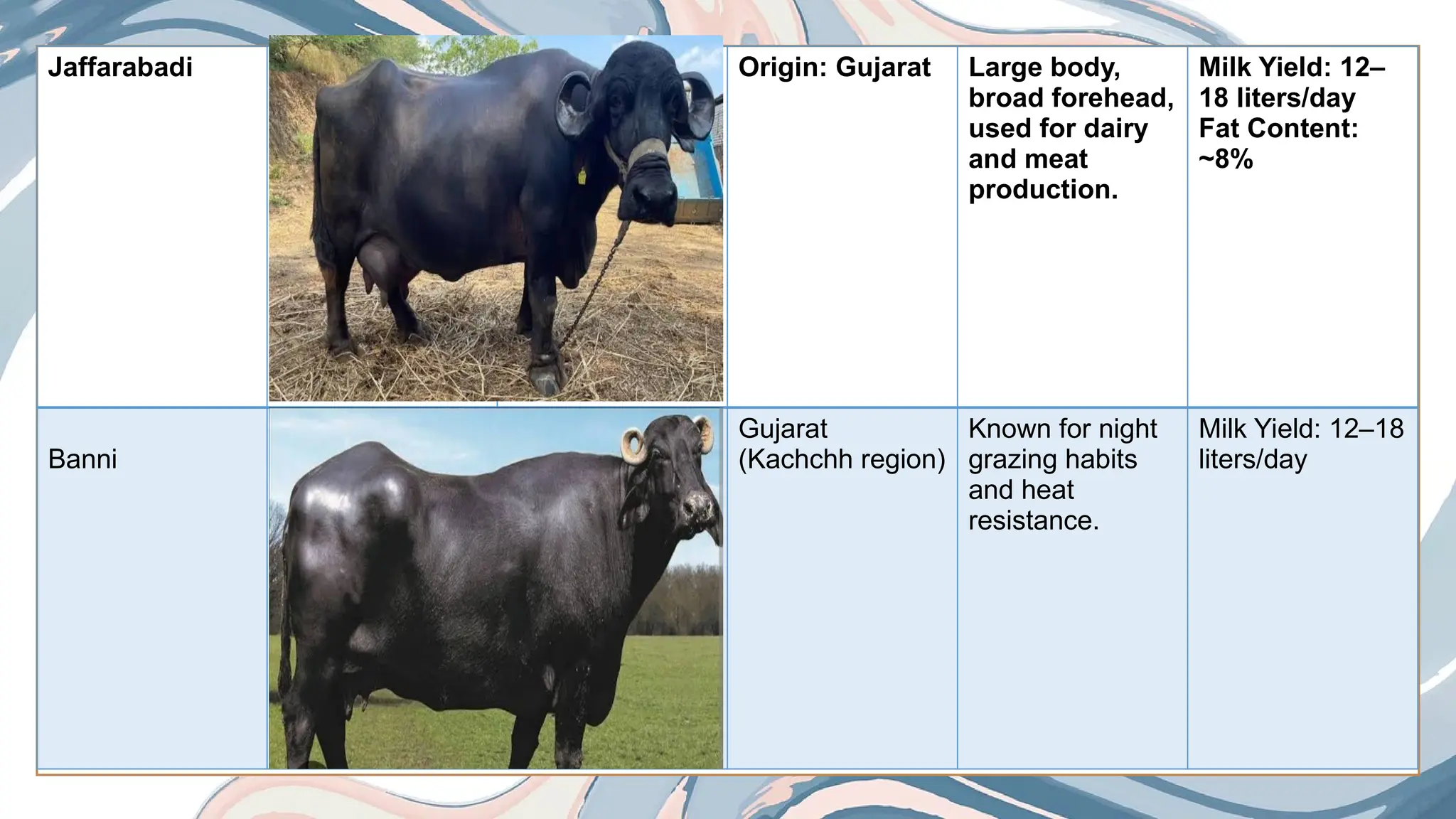 Animal husbandry: Purpose, scope and management,dairy animals, breeds and economic importance of ...