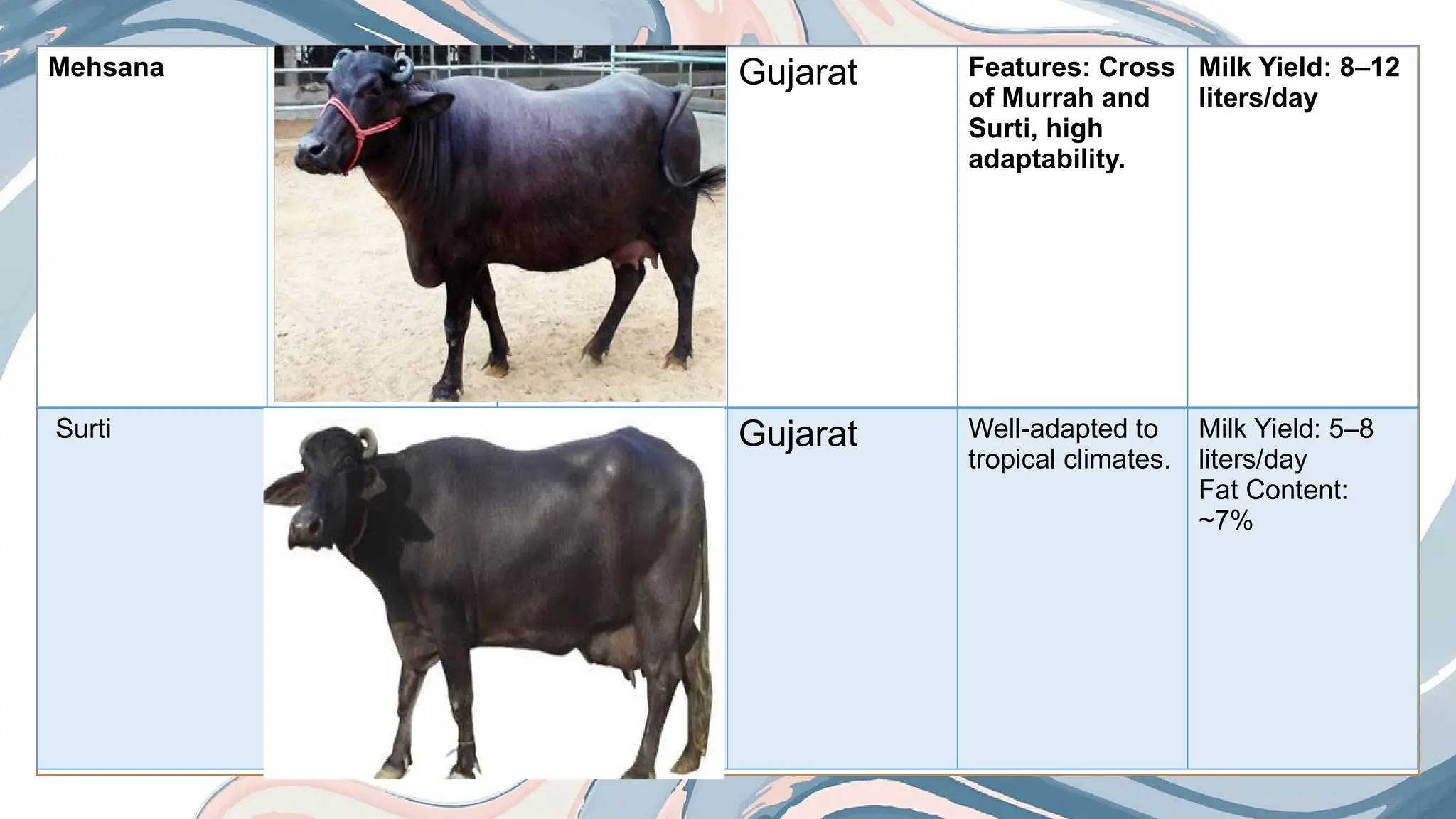 Animal husbandry: Purpose, scope and management,dairy animals, breeds ...