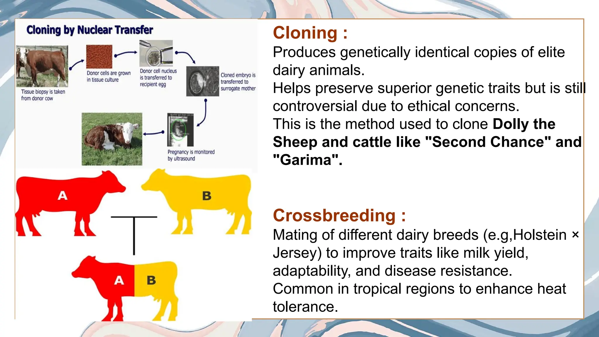 Animal husbandry: Purpose, scope and management,dairy animals, breeds ...