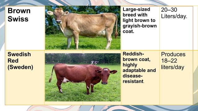 Animal husbandry: Purpose, scope and management,dairy animals, breeds ...