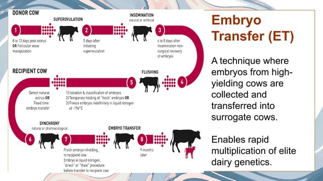 Animal husbandry: Purpose, scope and management,dairy animals, breeds ...