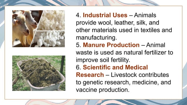 Animal husbandry: Purpose, scope and management,dairy animals, breeds ...