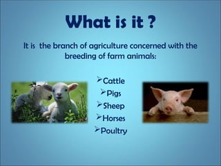 Animal Husbandry for educational purpose | PPT