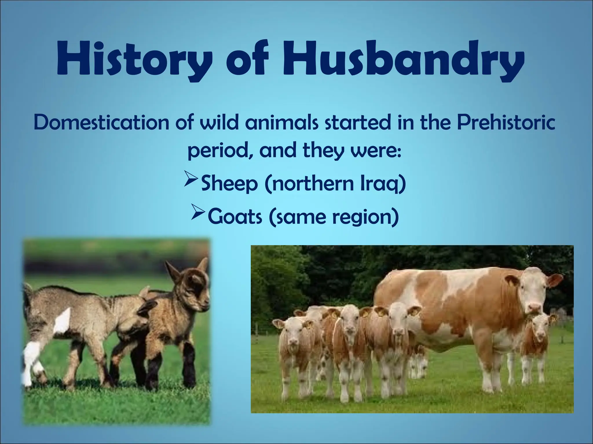 Animal Husbandry_).ppt for educational purpose | PPT