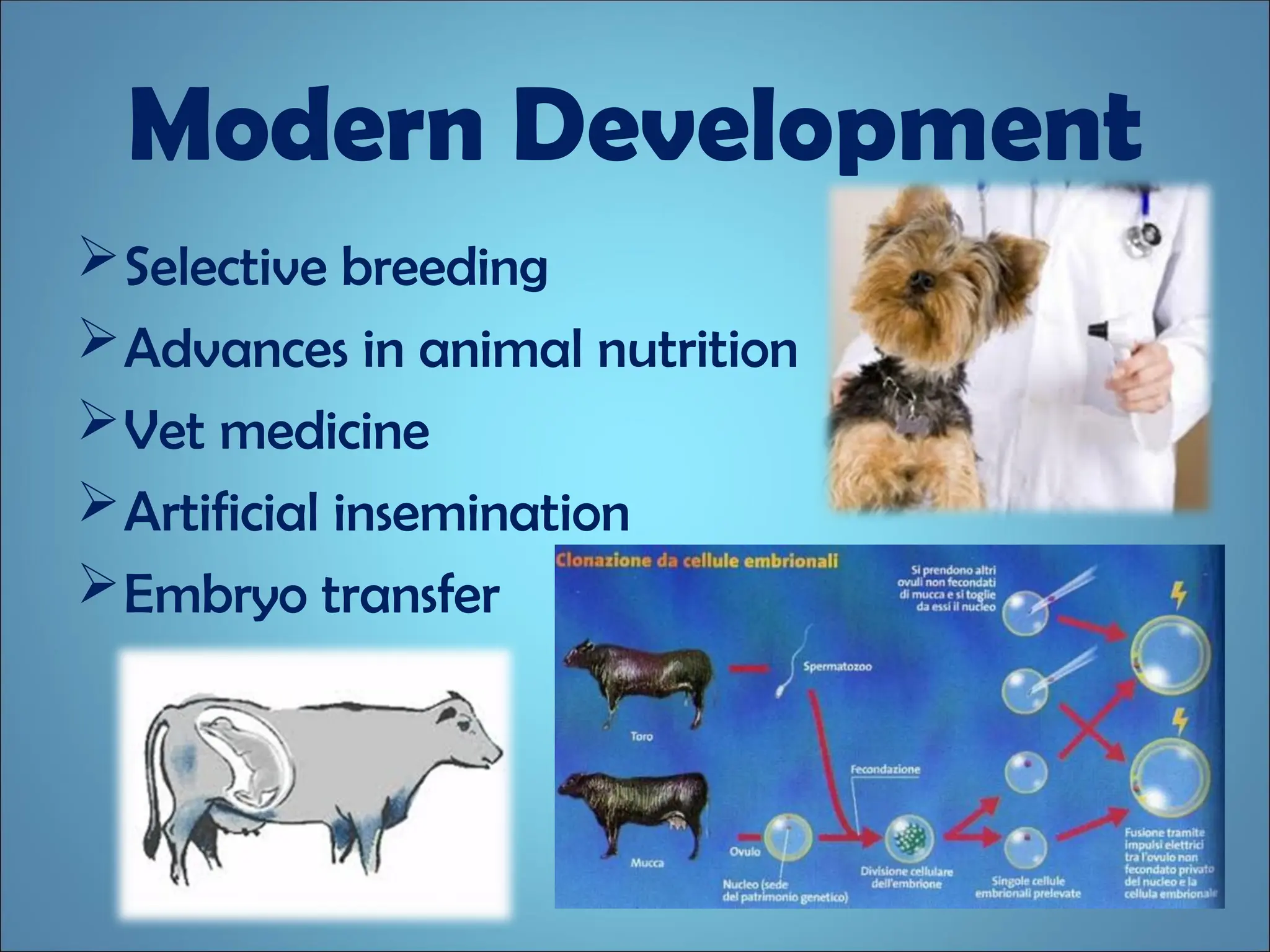 Animal Husbandry_).ppt for educational purpose | PPT