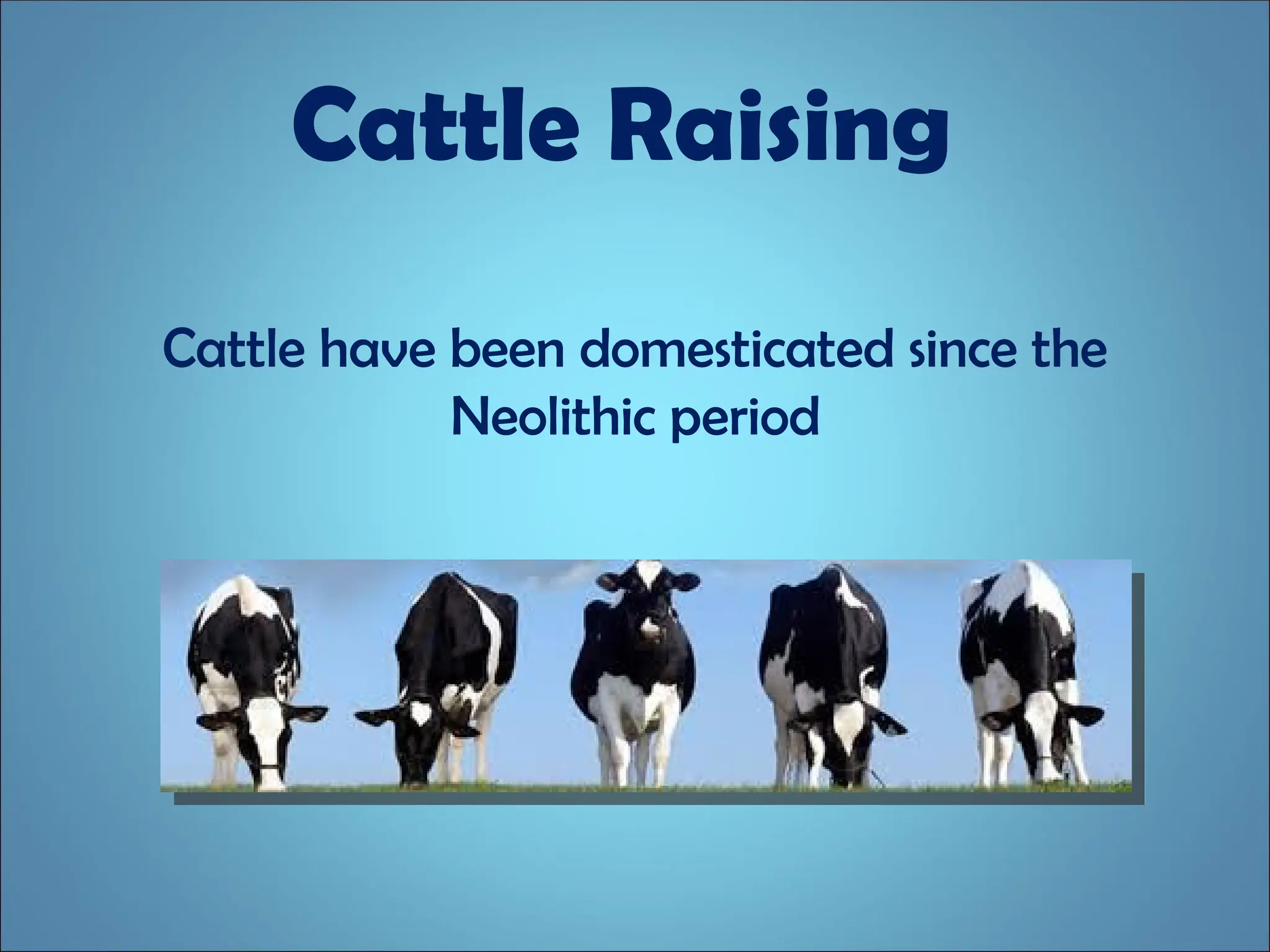 Animal Husbandry_).ppt for educational purpose | PPT