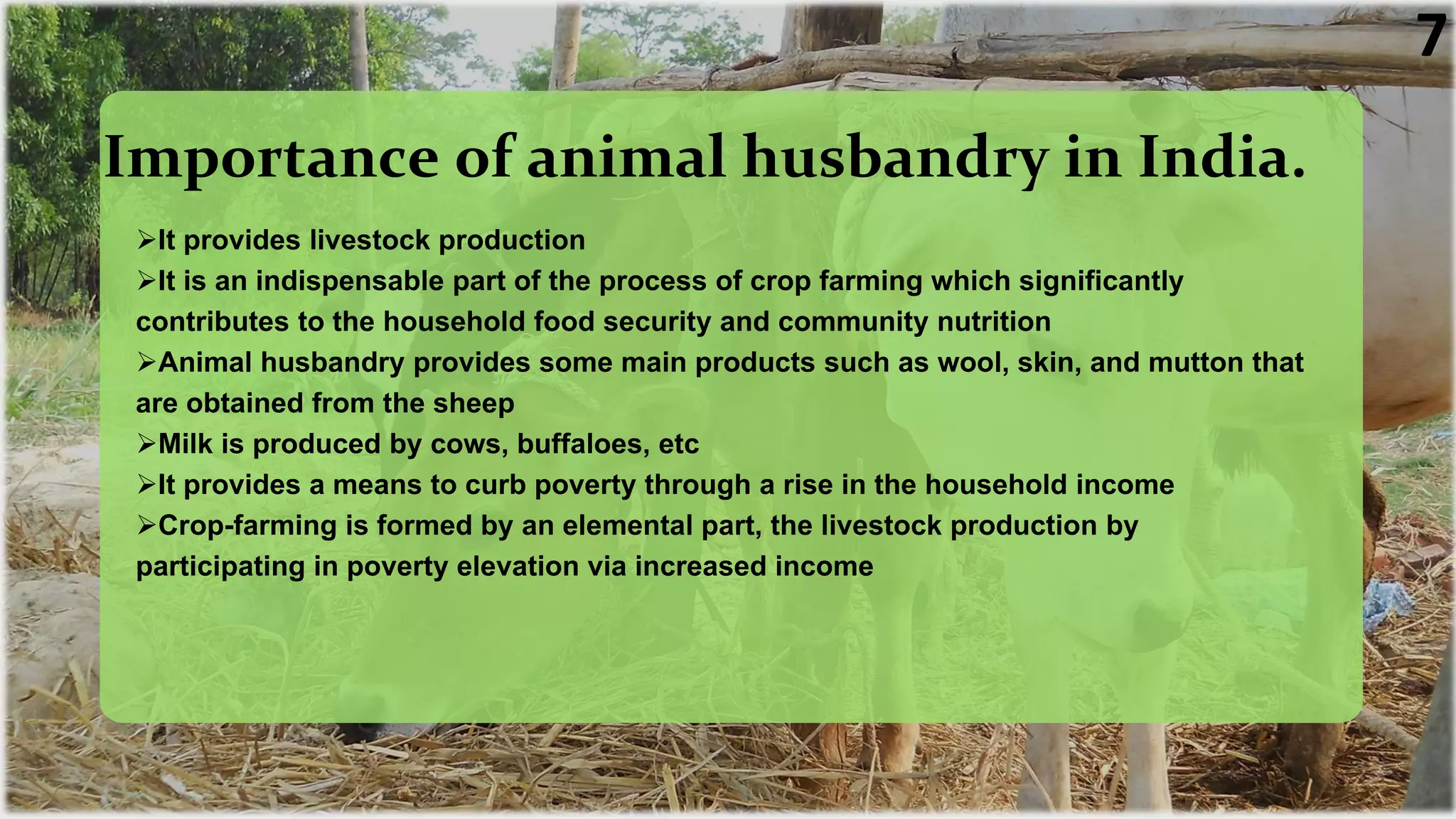 animal husbandry.pptx
