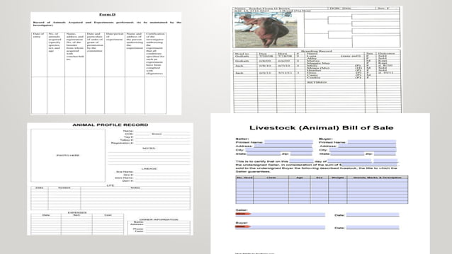ANIMAL HUSBANDRY AND RECORD KEEPING.pptx
