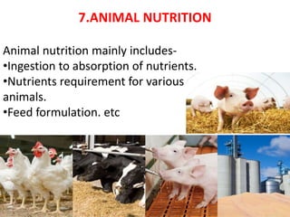 Animal Husbandry and Veterinary Science | PPTX