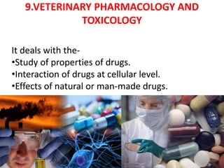 Animal Husbandry and Veterinary Science | PPTX