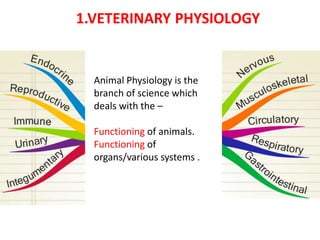 Animal Husbandry and Veterinary Science | PPTX