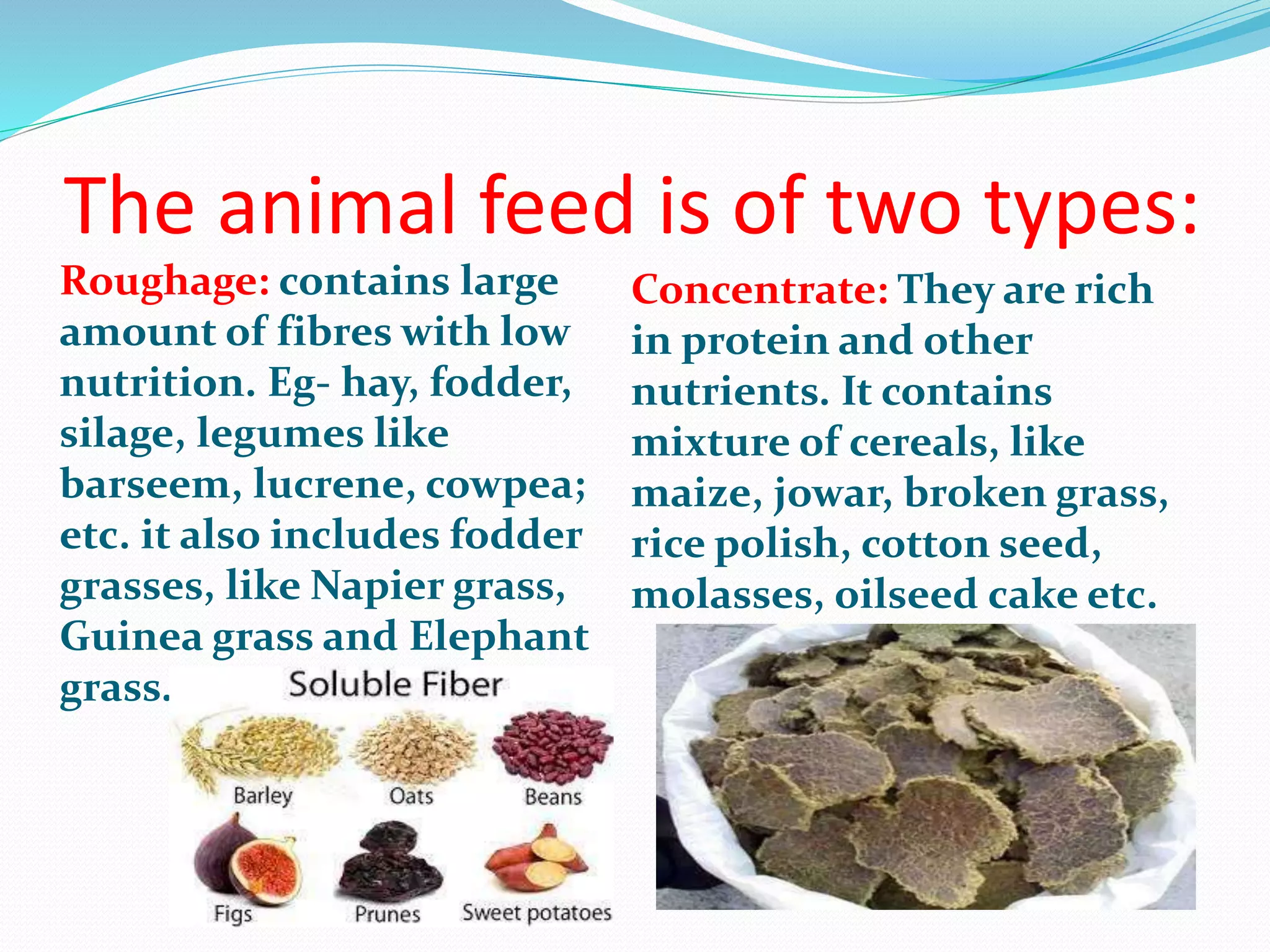 Animal husbandry | PPTX