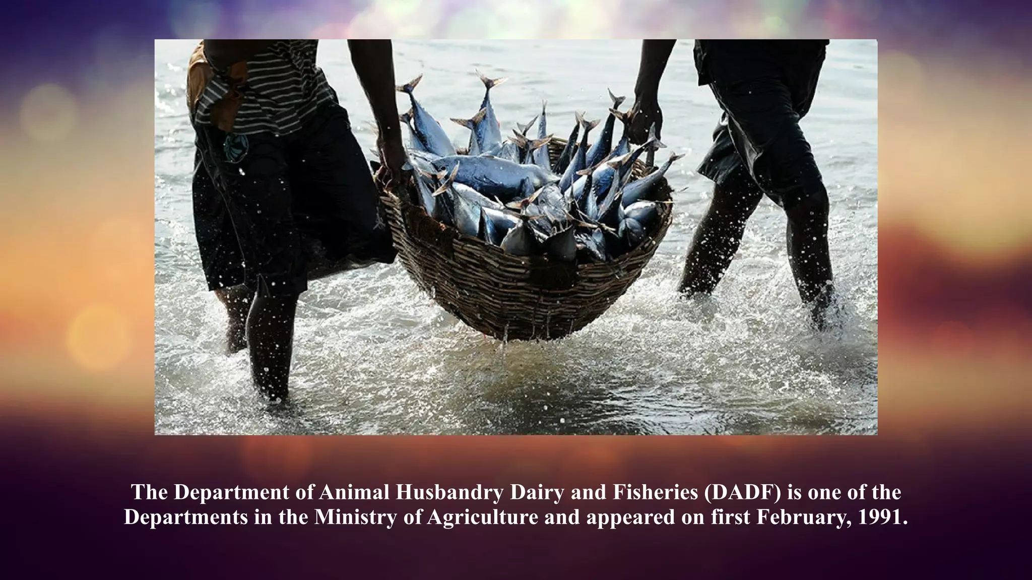 Animal husbandry department | PPT