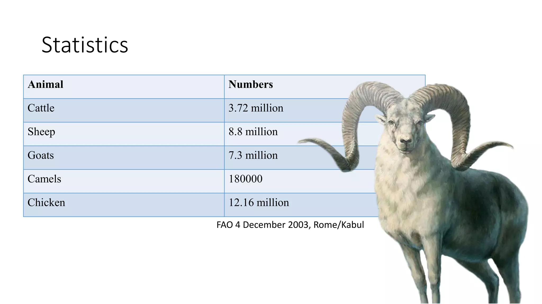 Animal husbandry in Afghanistan | PPTX