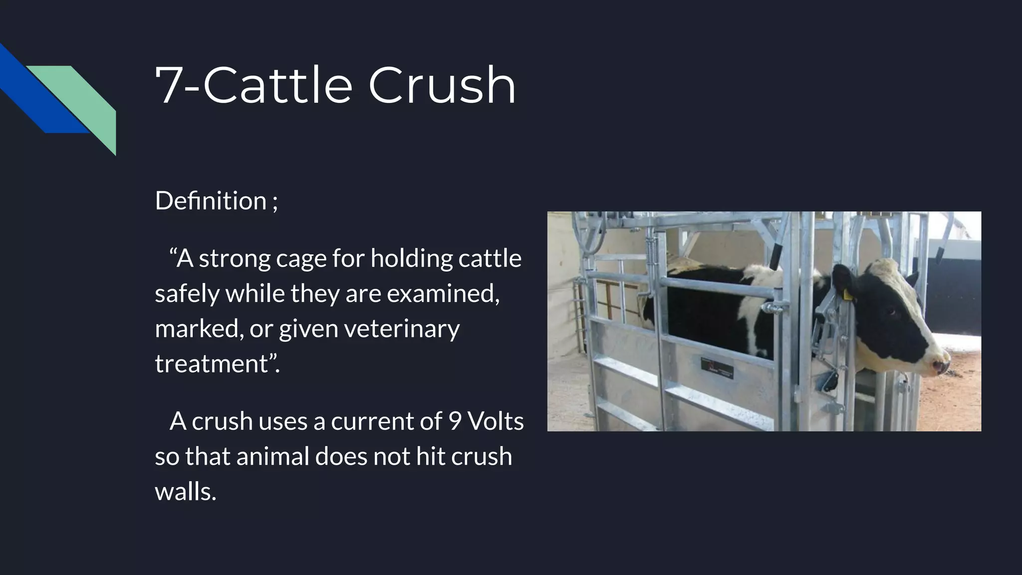 Restraining techniques of Animals | PDF
