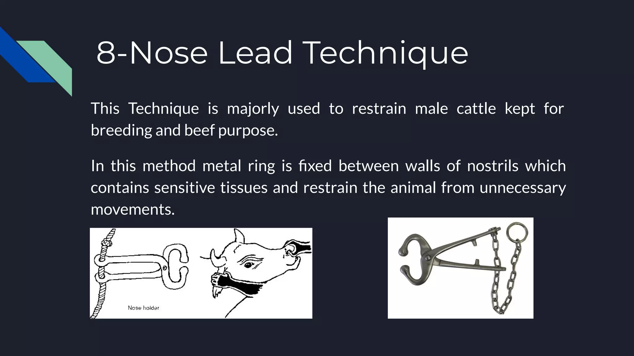 Restraining techniques of Animals | PDF
