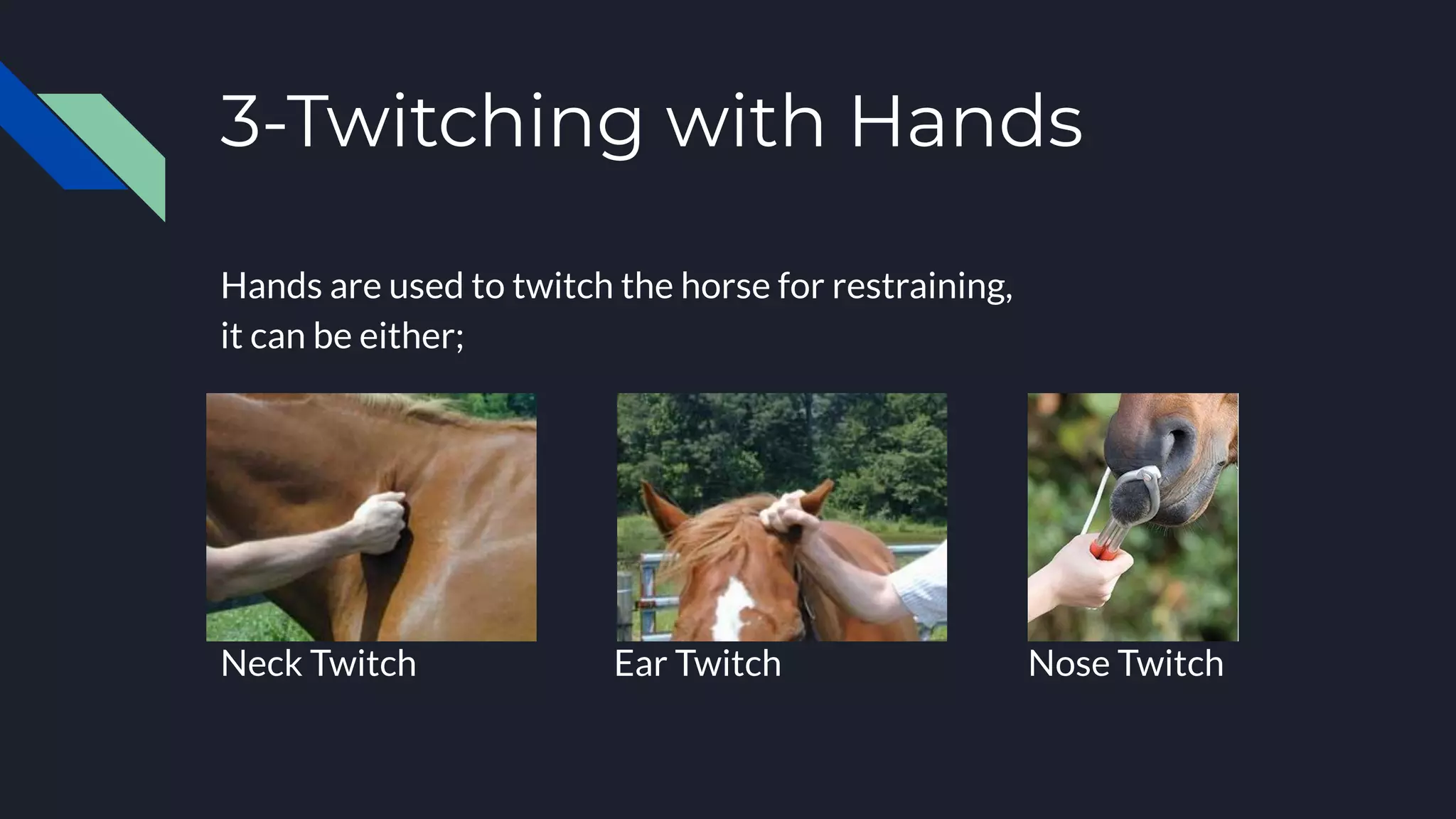 Restraining techniques of Animals | PDF