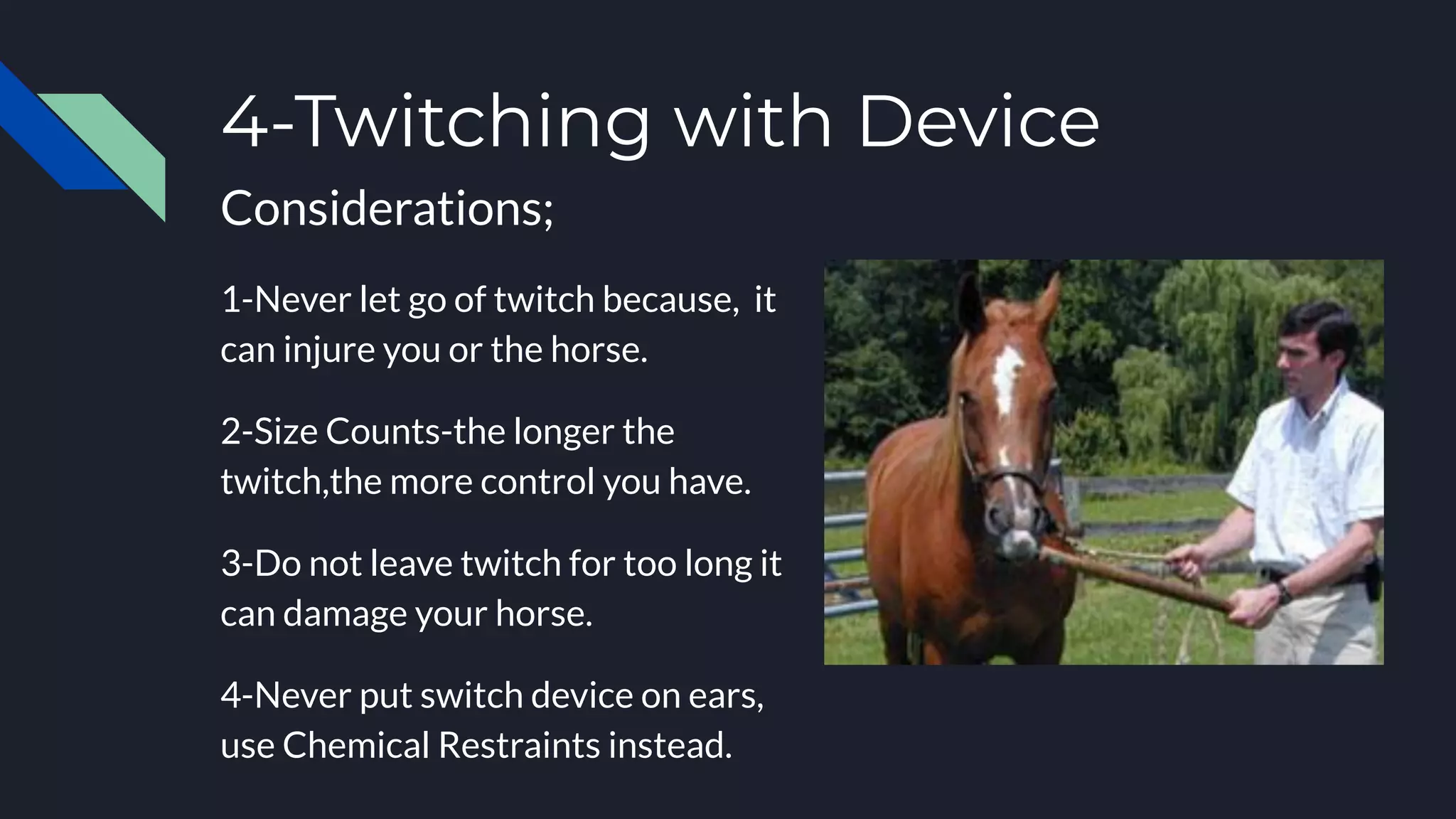 Restraining techniques of Animals | PDF