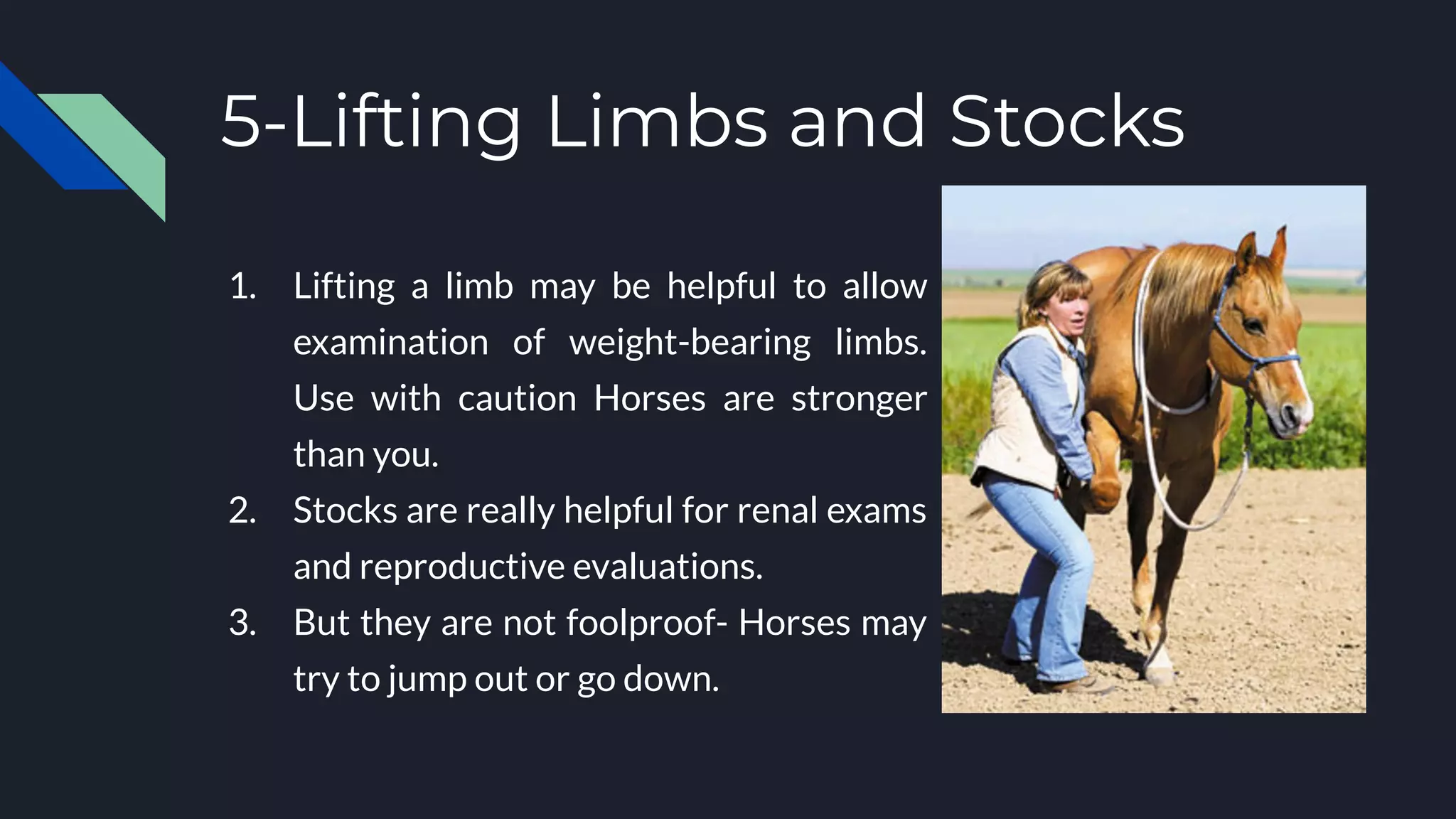 Restraining techniques of Animals | PDF