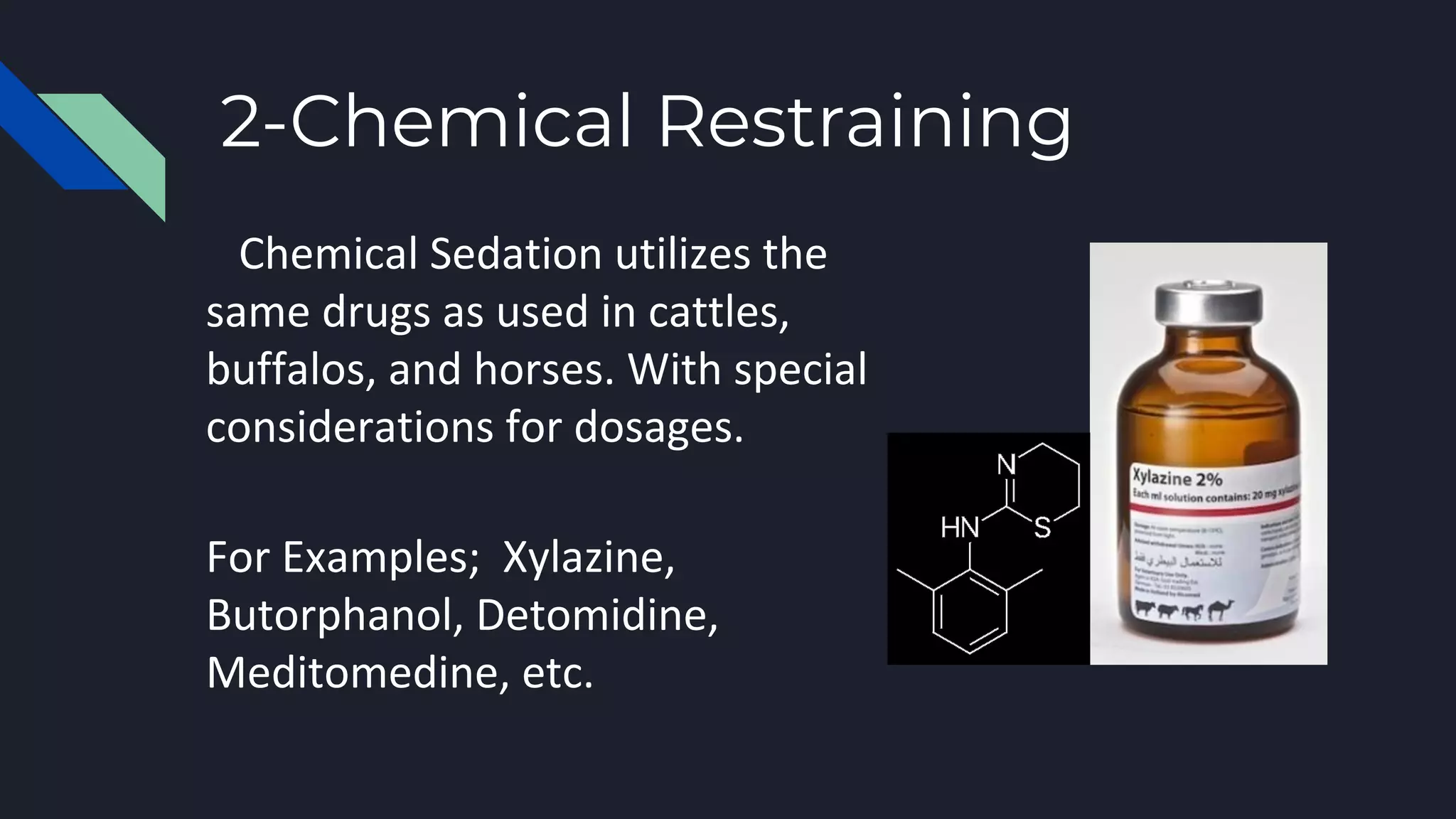 Restraining techniques of Animals | PDF