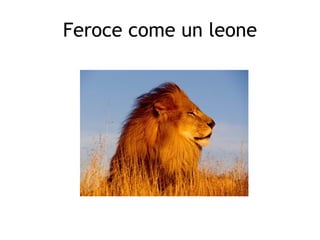 Animali per modi di dire | PPT