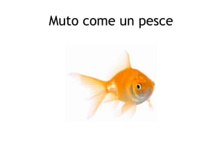 Animali per modi di dire | PPT