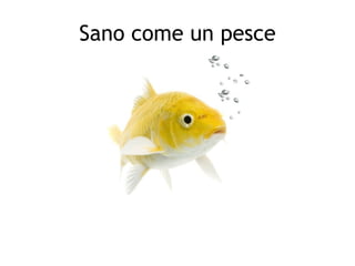 Animali per modi di dire | PPT