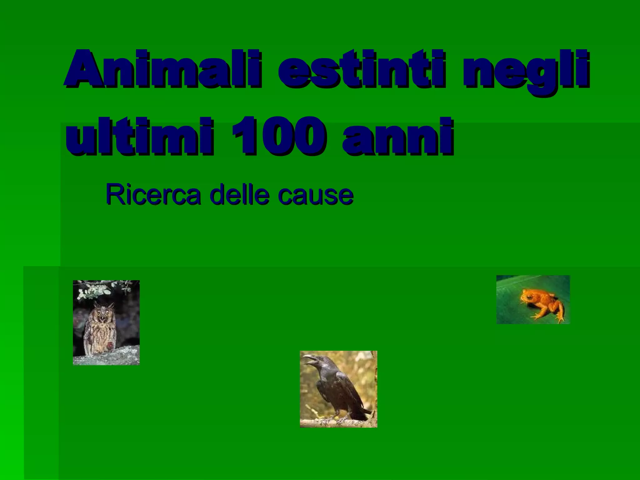 animali in estinzione | PPT