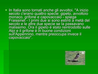 animali in estinzione | PPT