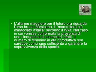 animali in estinzione | PPT