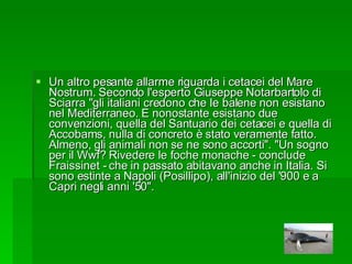 animali in estinzione | PPT