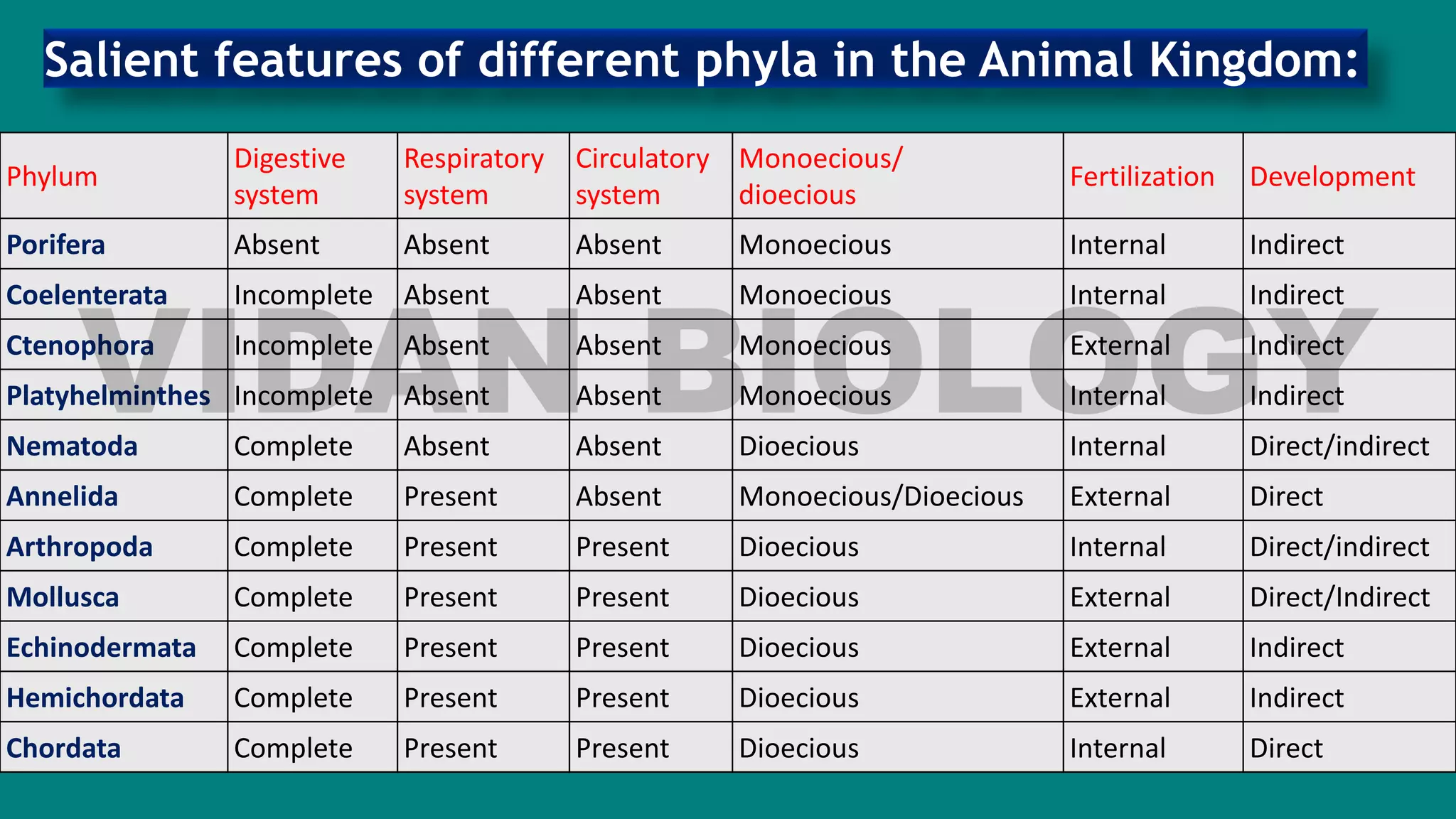 Animal Kingdom phylum Detail | PDF