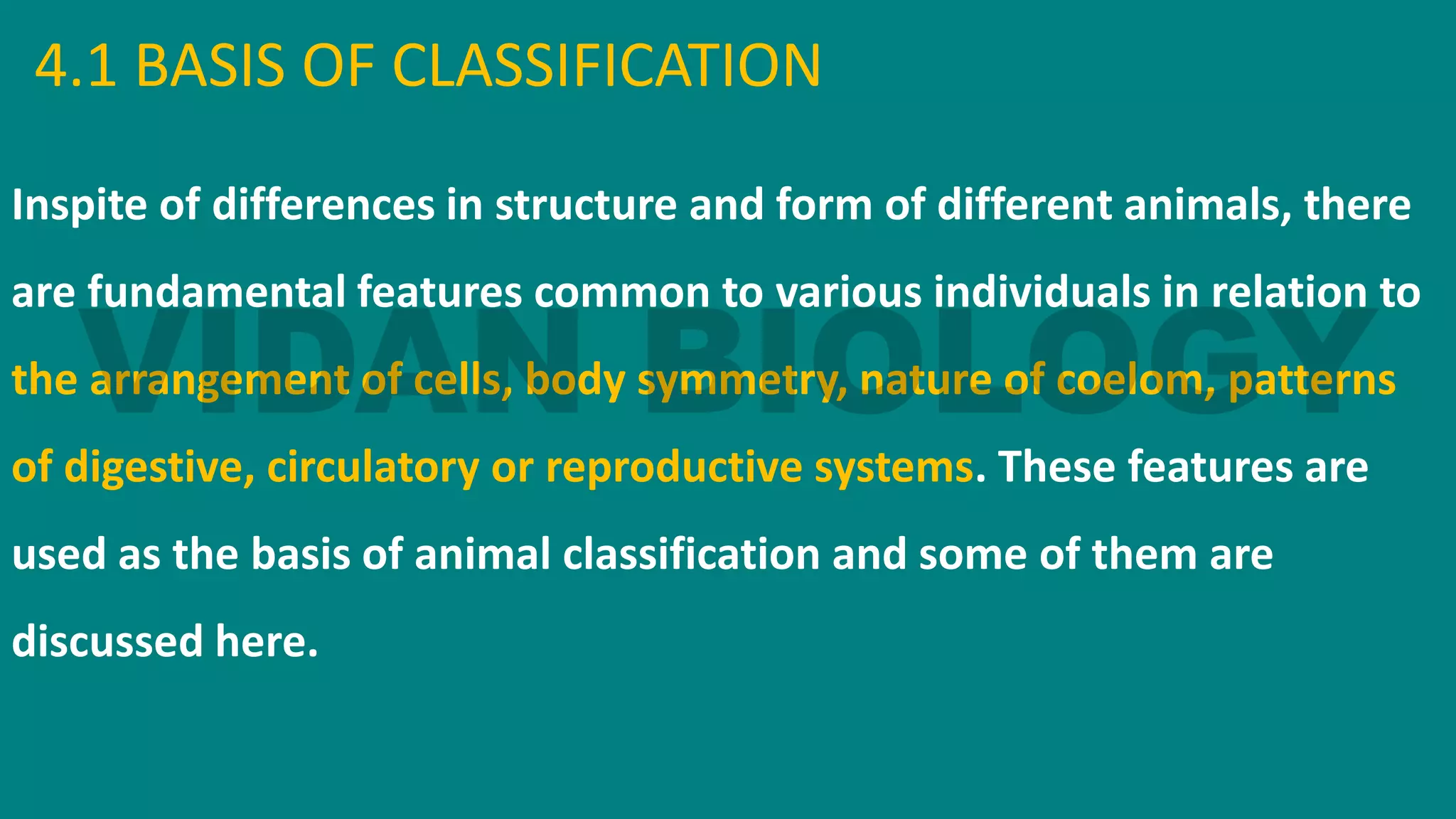 Animal Kingdom phylum Detail | PDF