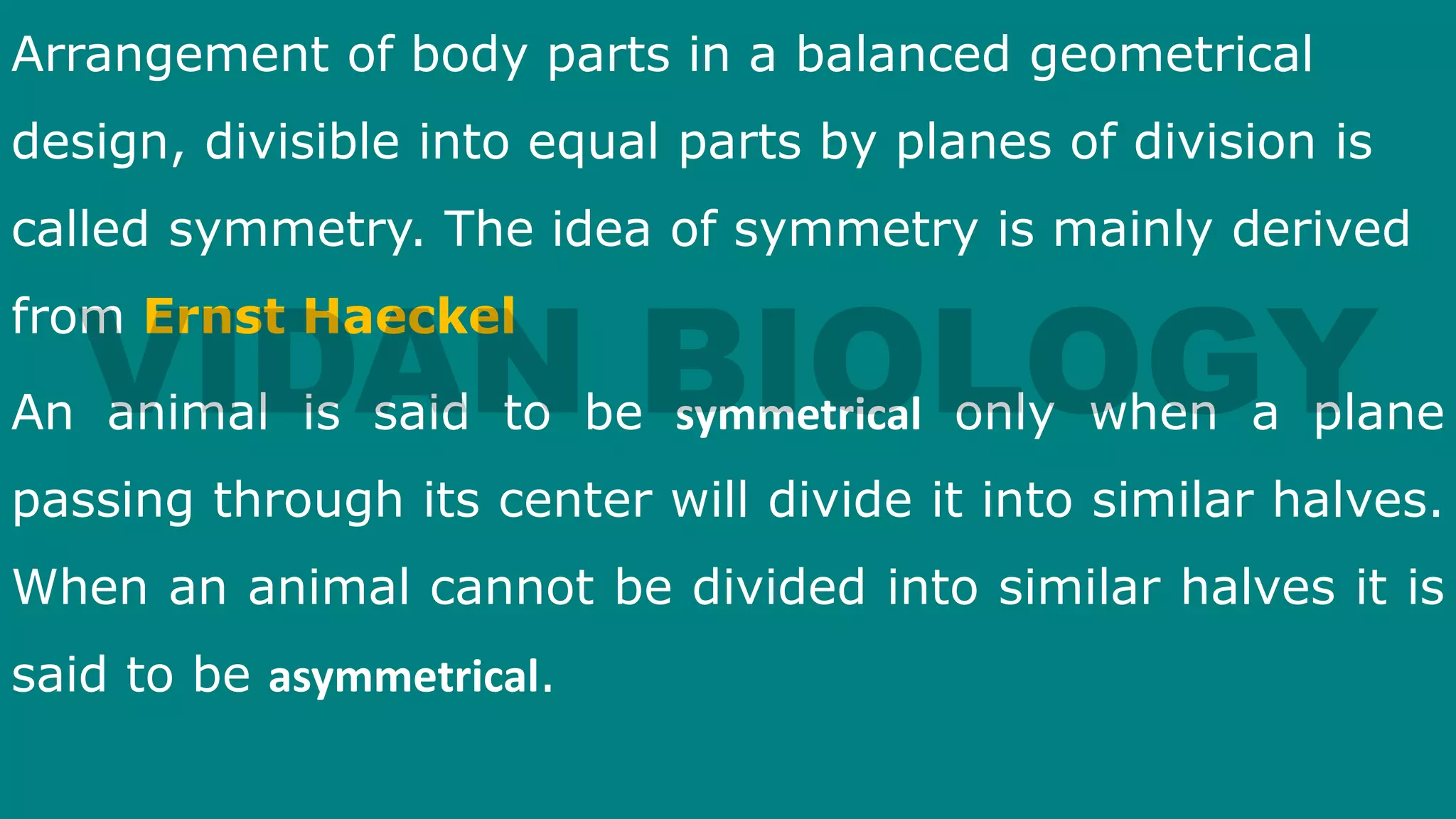 Animal Kingdom phylum Detail | PDF | Biological Sciences | Science