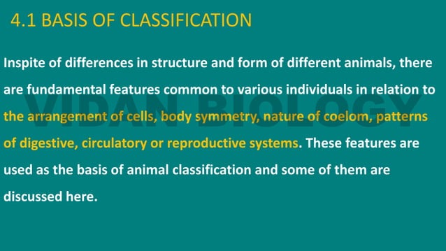 Animal Kingdom phylum Detail | PDF | Biological Sciences | Science