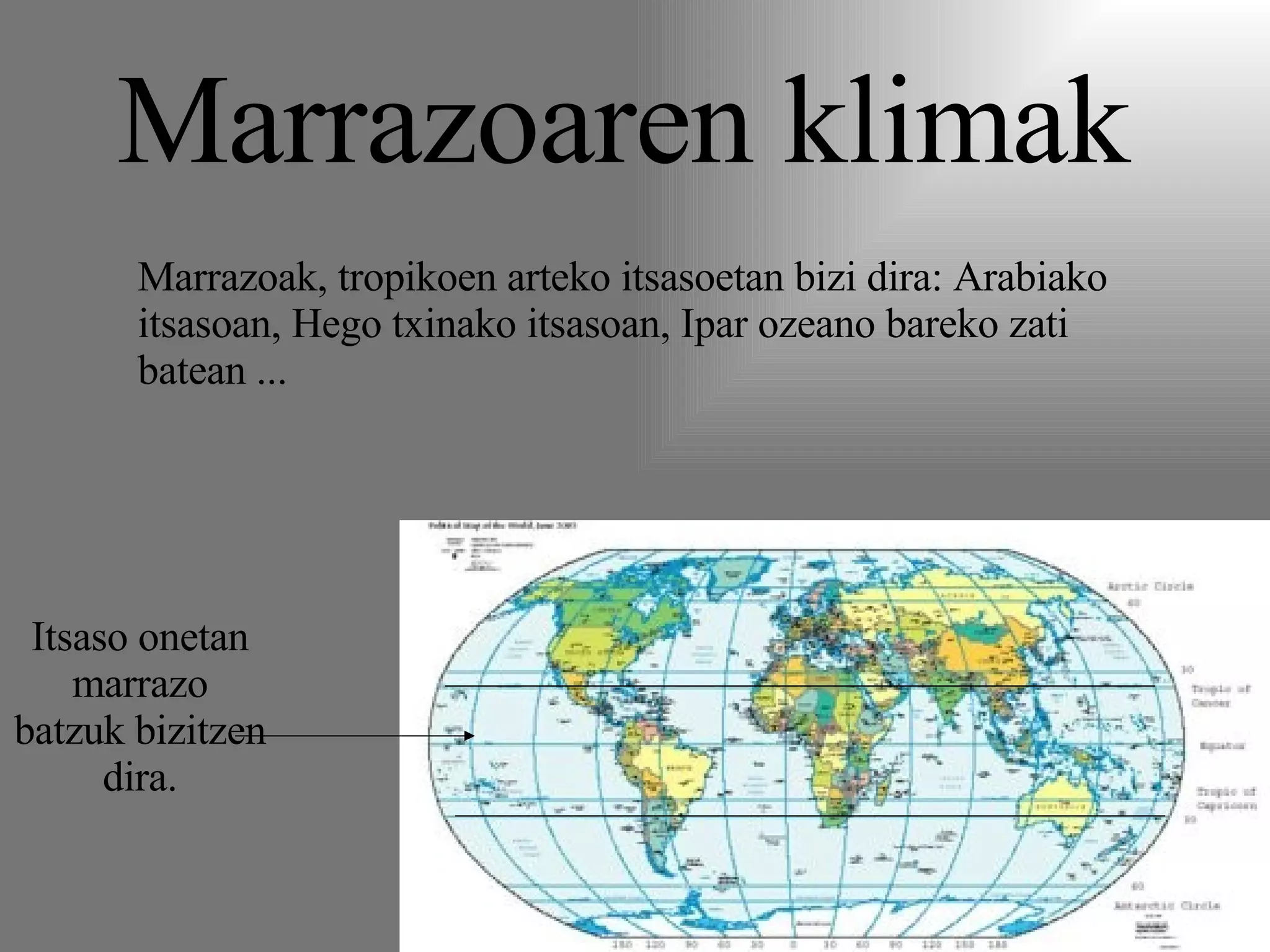Animaliak ( Marrazoa) | PPT
