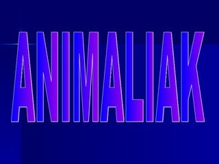 Animaliak ioritz | PPS