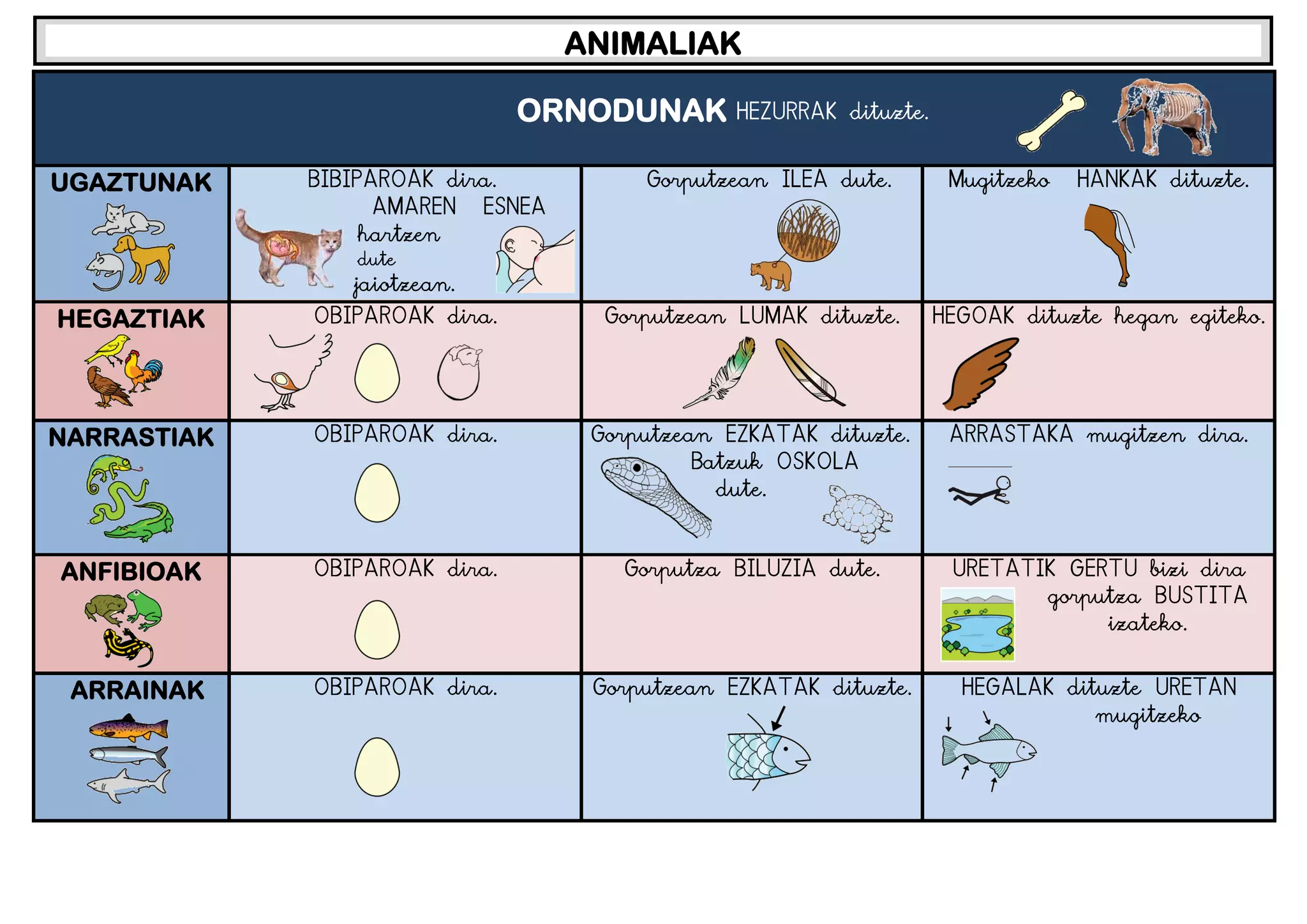 Animaliak ornodunak ornogabeak eskema2. maila | PDF