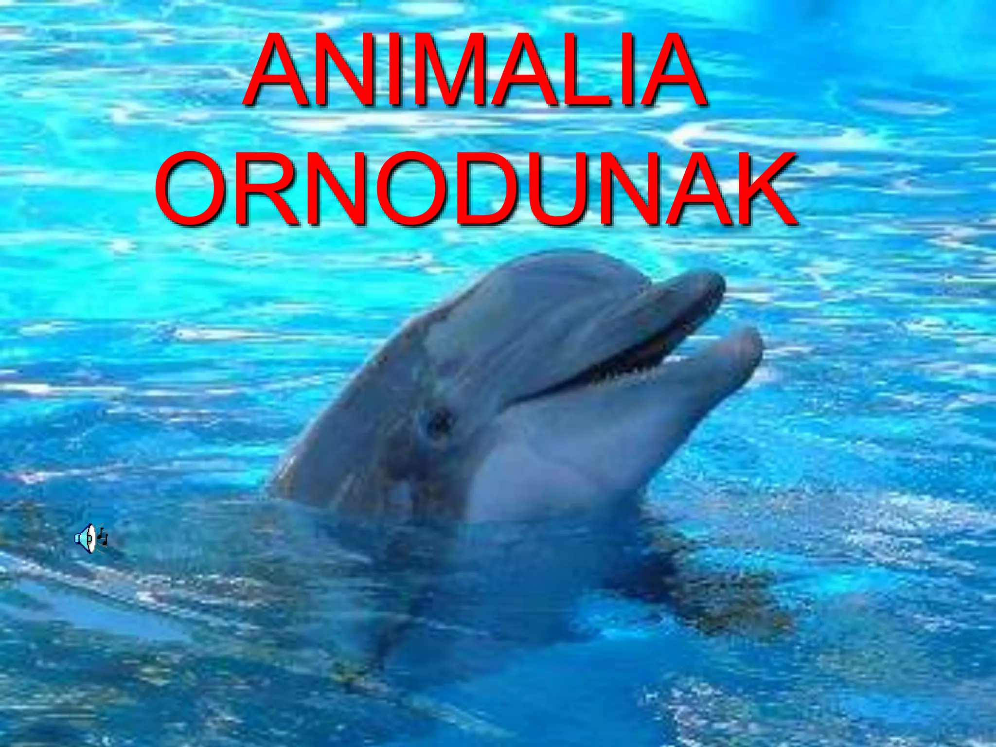 Animaliak | PPT