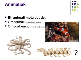 Animalia ornodunak | PPT