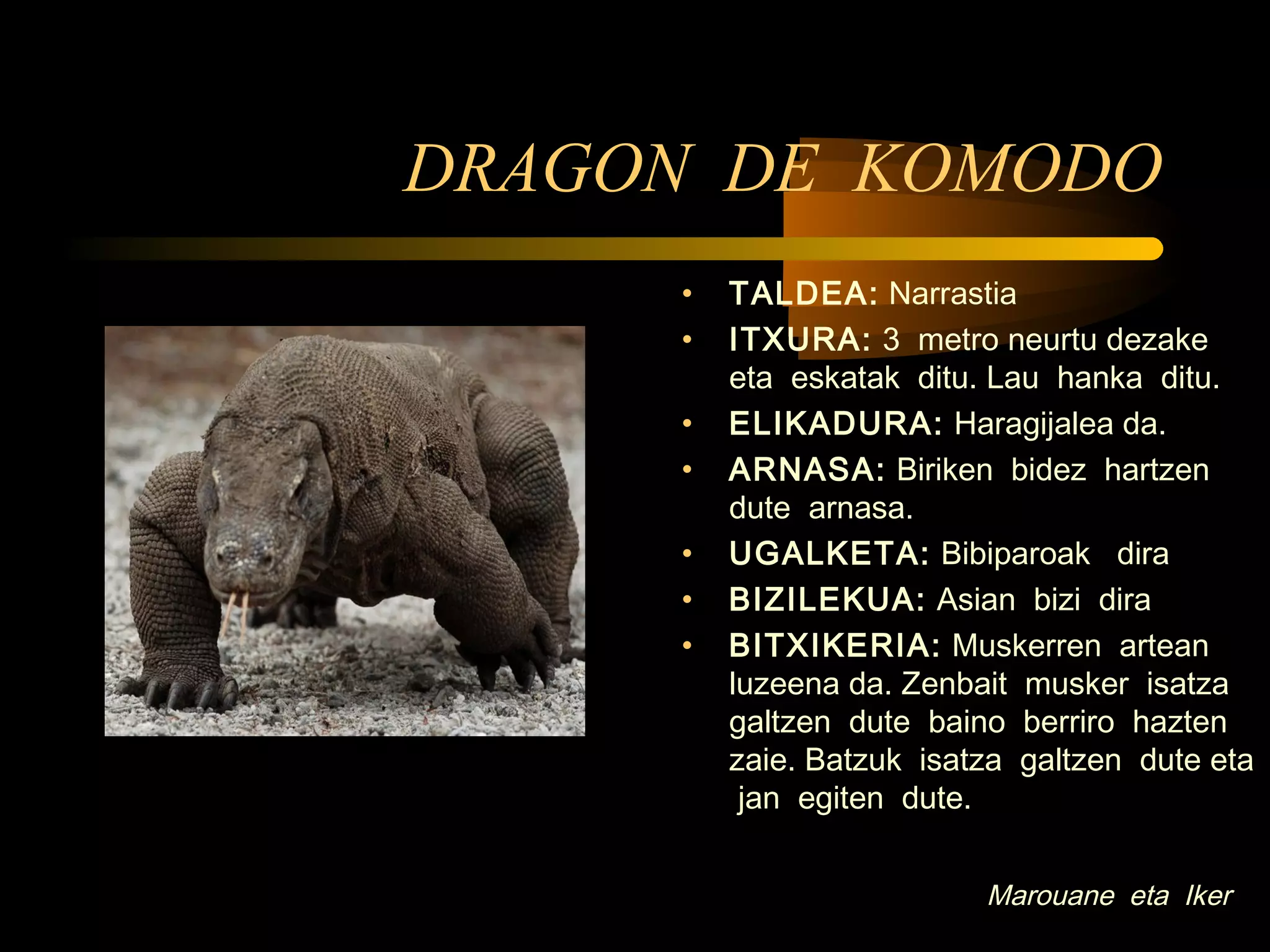 Animalia ornodunak power point oso | PPT