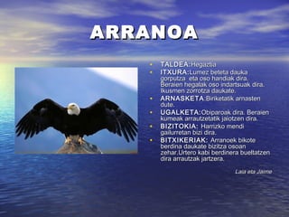 Animalia ornodunak power point osoa | PPT