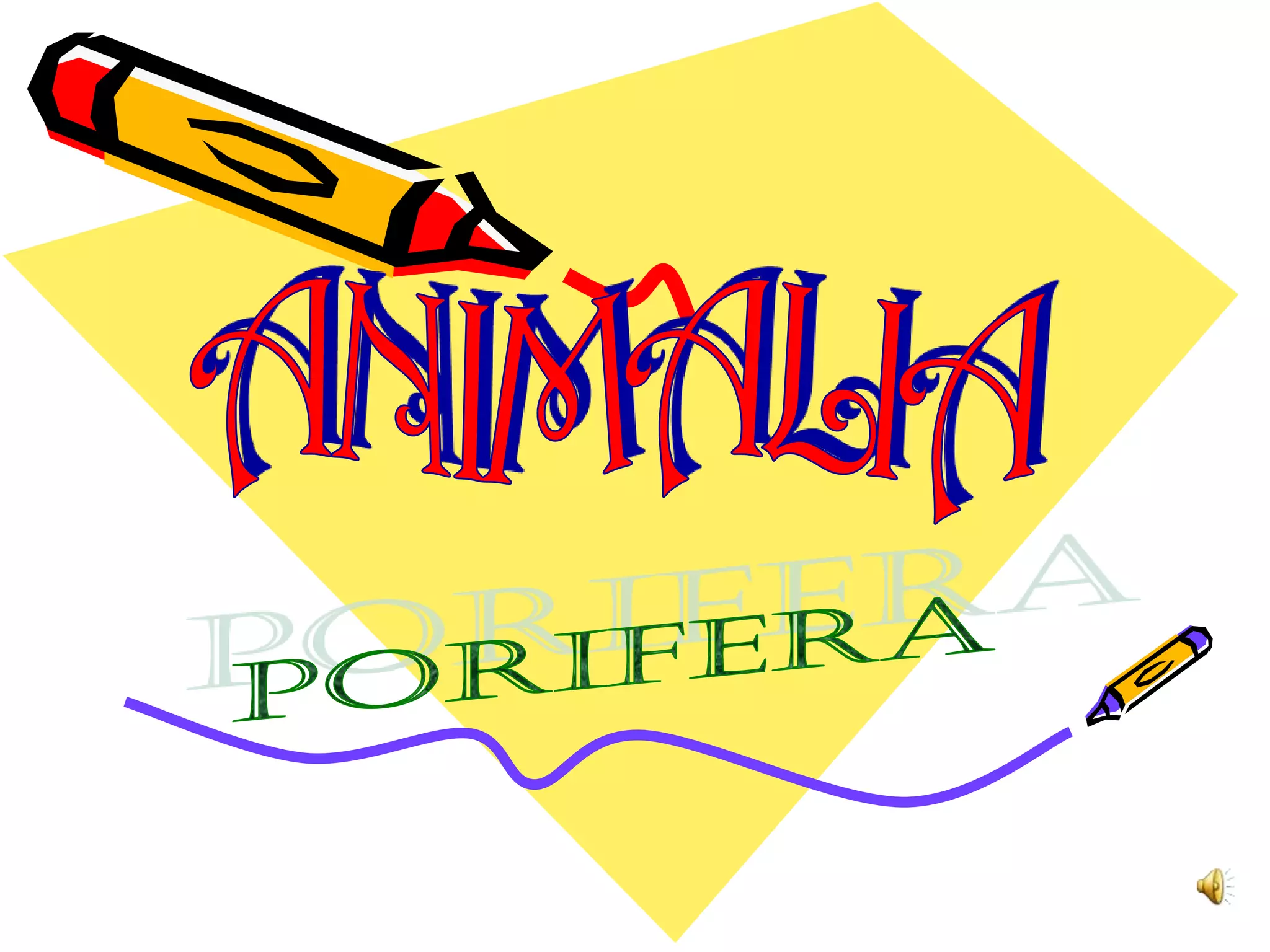 Animalia porifera kelompok 1 | PPTX